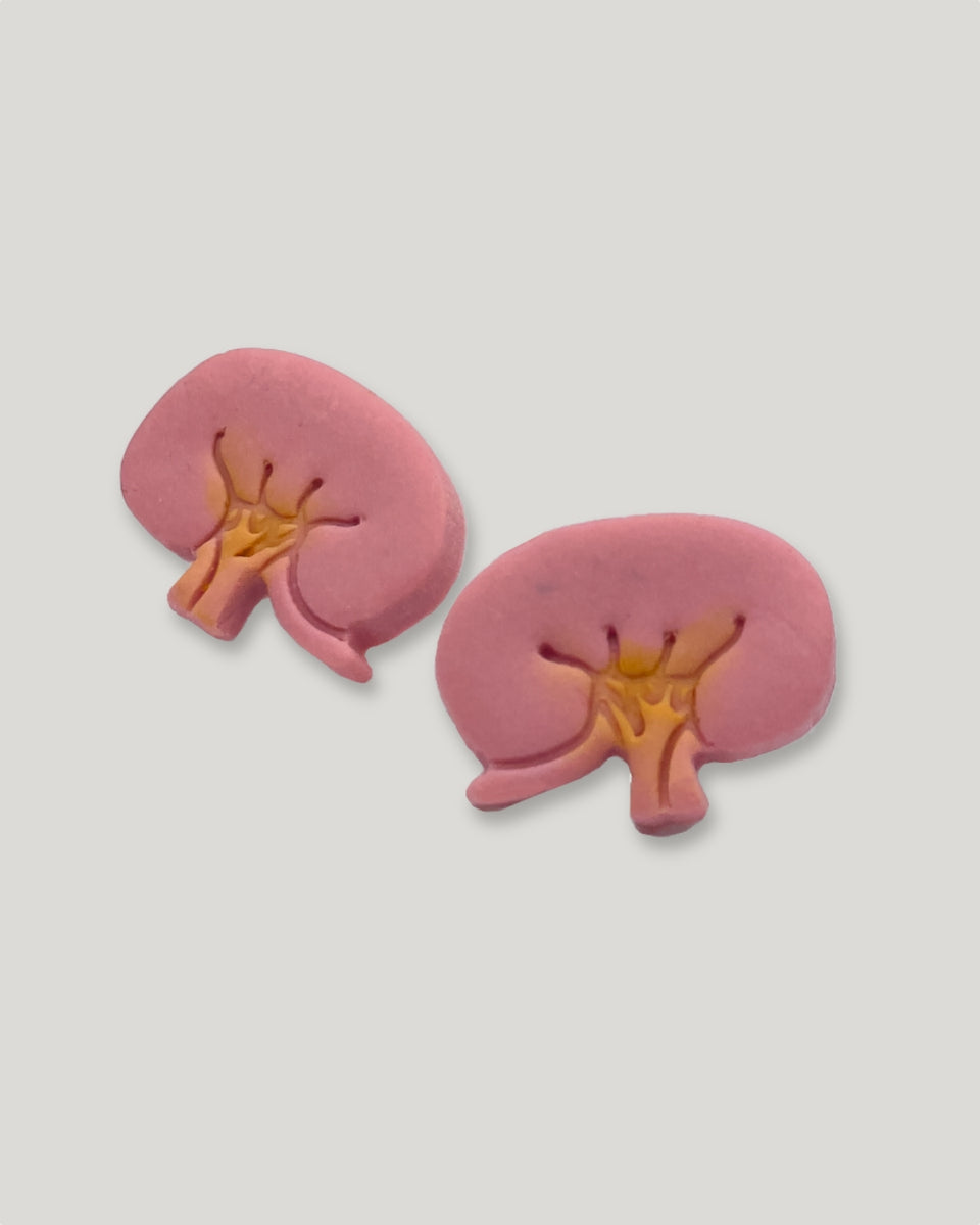 Kidney Earrings - Florence + Polly – Hunter Scrubs